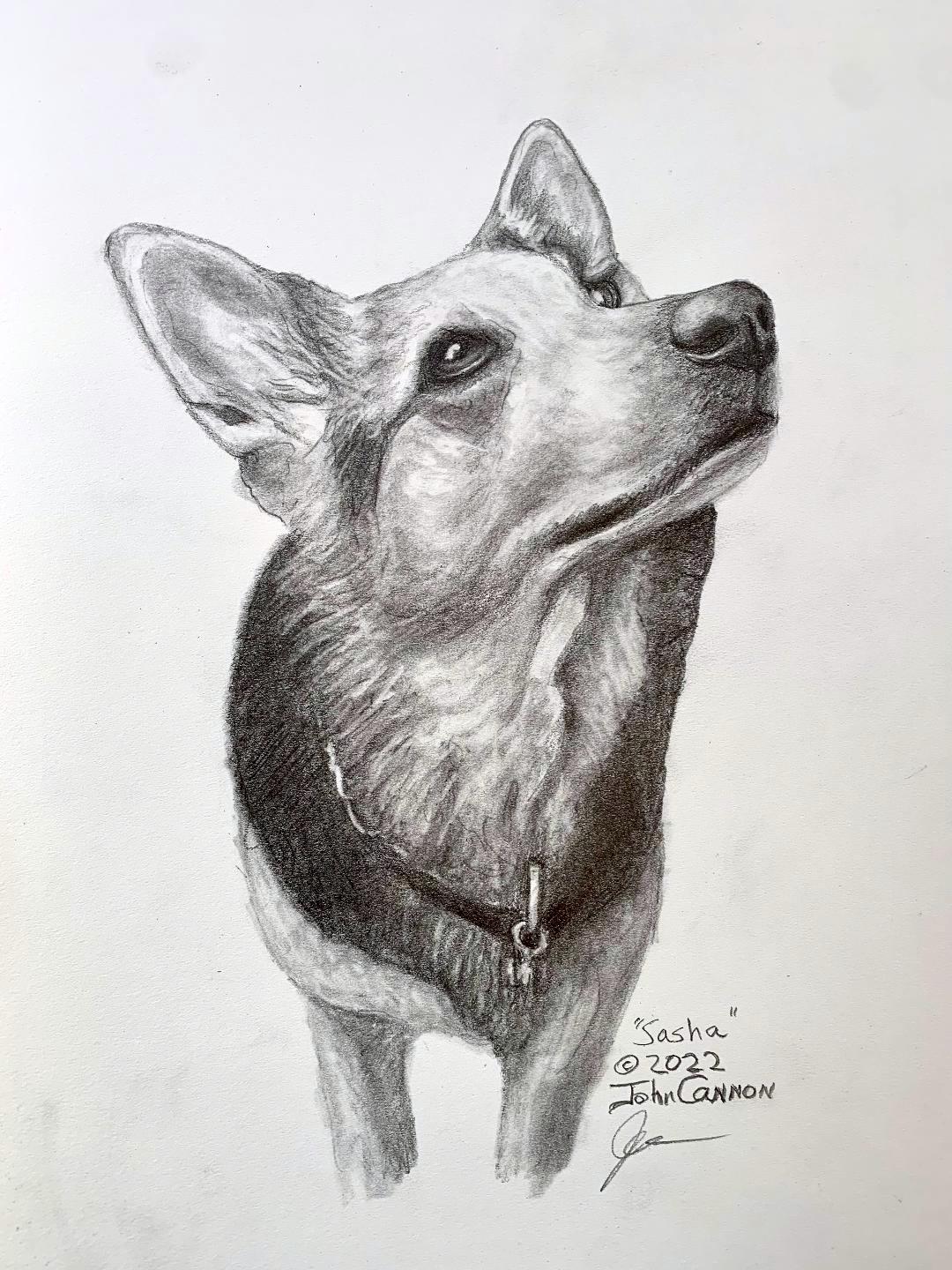 A Rare Pencil Drawing - John Cannon Fine Art